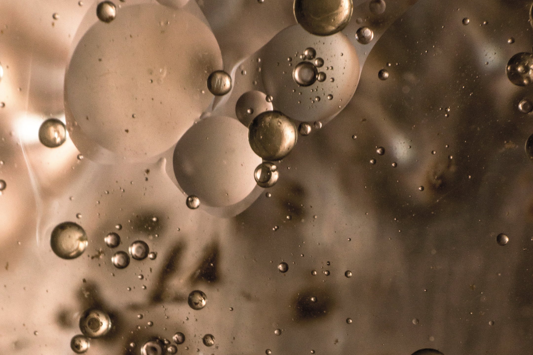 Benefits of Ceramide for Skin & How to Use It in Skincare – 82°E