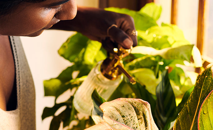 About 82°E - Story of 82°E - Modern Indian Self-Care Brand