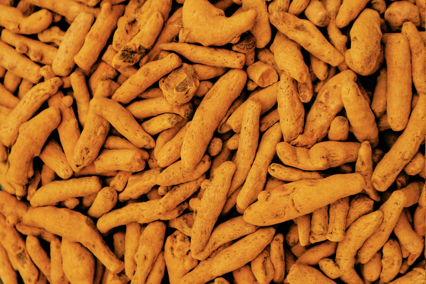 Sunscreen Serum - Turmeric Shield Serum [SPF 40] with Ceramide | 82°E